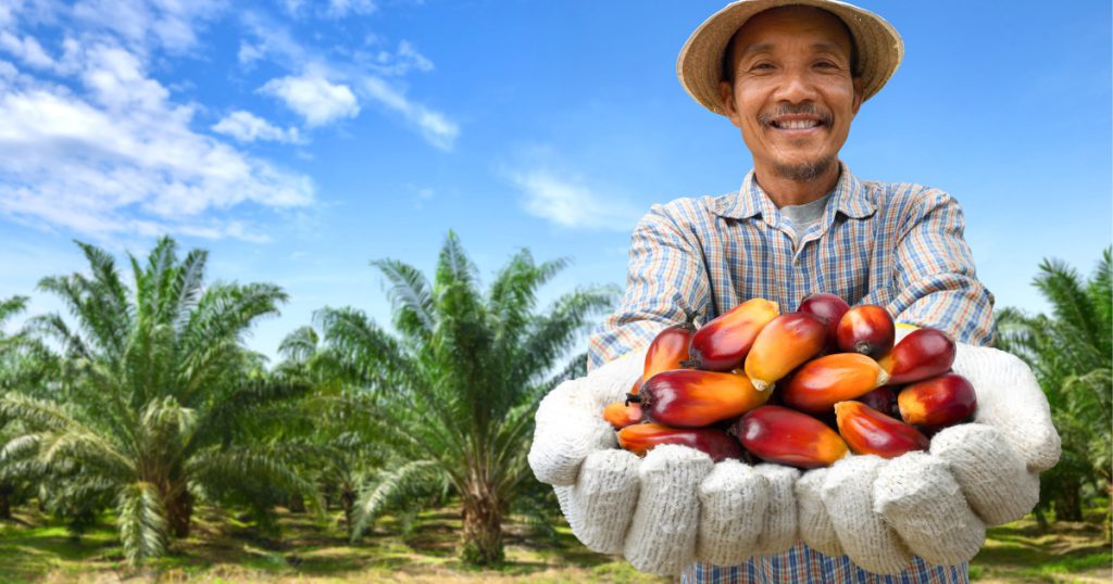 App-based Archives - LintraMax | Quarto